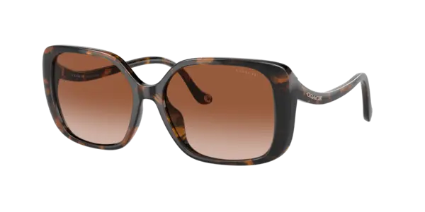COACH Sunglasses - Brown Peach Gradient