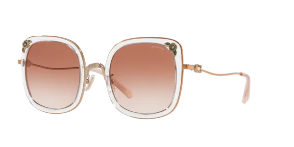 COACH Sunglasses