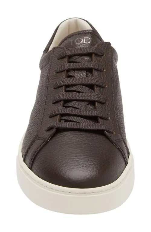 TOD'S Cassetta Sneaker - Caffe