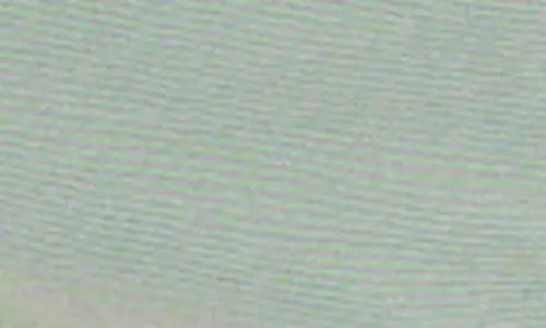 ORIGINAL PAPERBACKS Walden Chino Shorts - Lightgreen