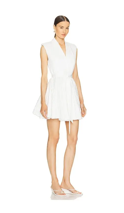 Alexis Cyrus Dress