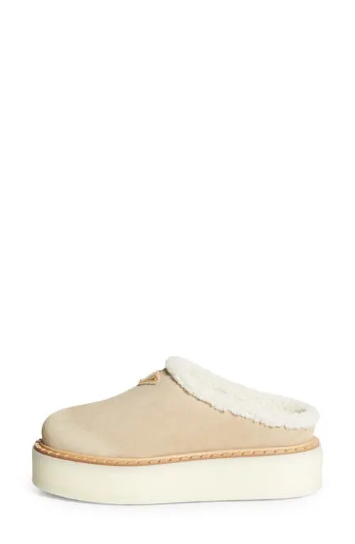 Prada Evolve Genuine Shearling Clog - Ecru