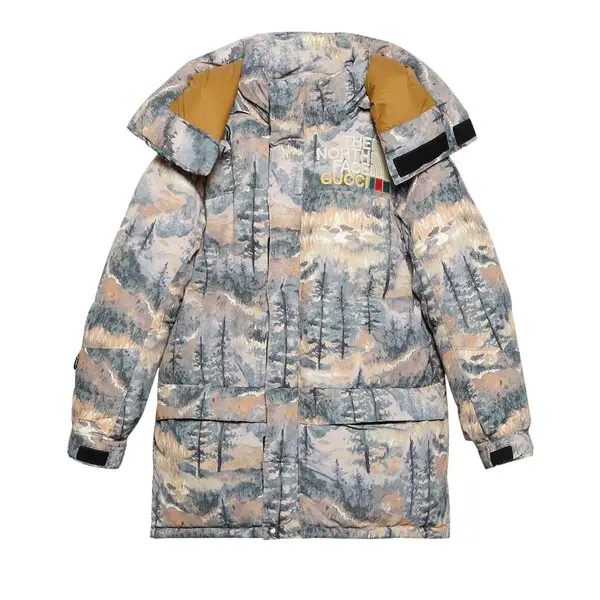 Gucci X The North Face Forest Print Padded Jacket