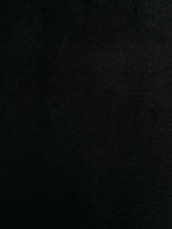 Max Mara Embroidered-logo Cashmere Scarf - Black