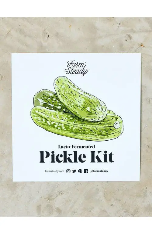 BROOKLYN BREW SHOP Pickle Kit
