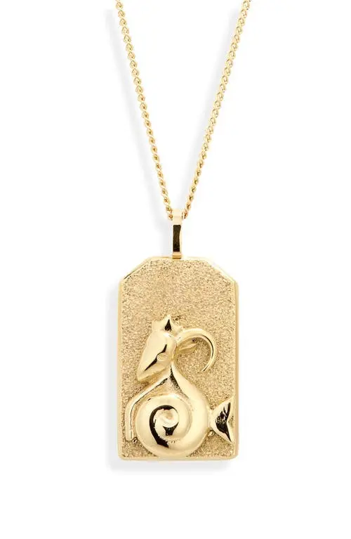Jenny Bird Zodiac Pendant Necklace - Gold - Capricorn