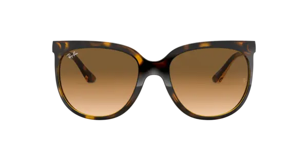 Ray-ban Sunglasses