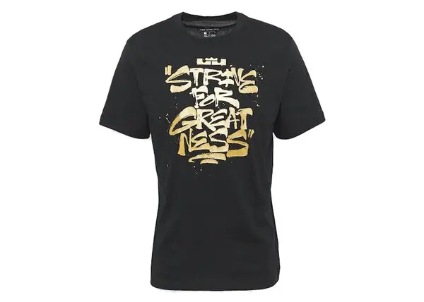 Nike Lebron Strive For Greatness T-shirt