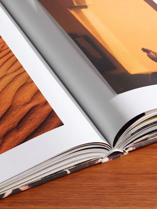 Assouline Falcons From Saudi Arabia Hardcover Book