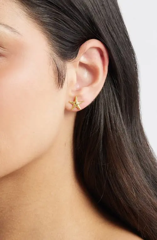 KIARA BY KI-ELE Manini Starfish Stud Earrings