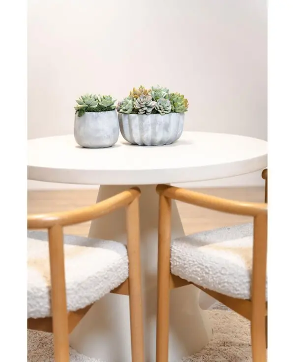 COCOBELLA Sandy Ceramic Succulent Arrangement