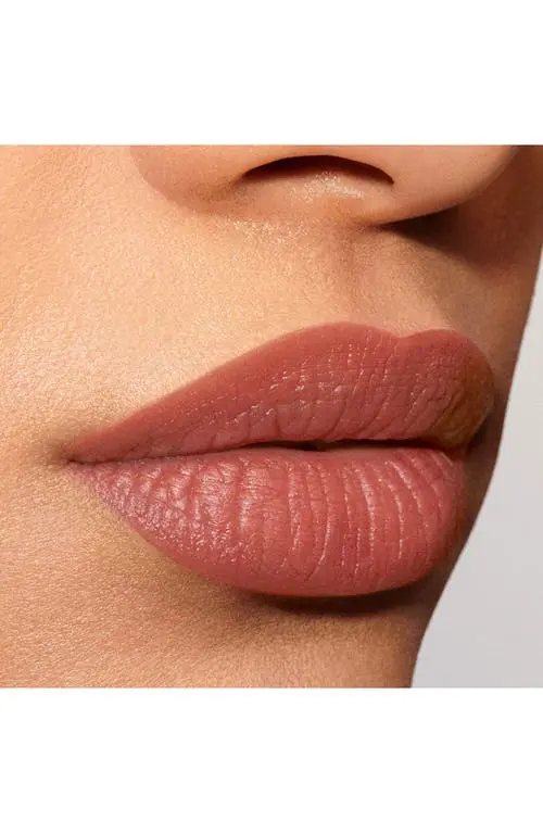 Estée Lauder Pure Color Explicit Silk Matte Lipstick - Static