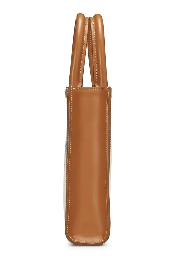 Celine Vertical Cabas Mini Bag