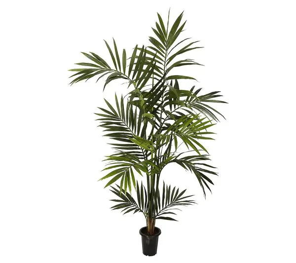 NEARLY NATURAL 6' Kenitia Palm Silk Tree By - One-color