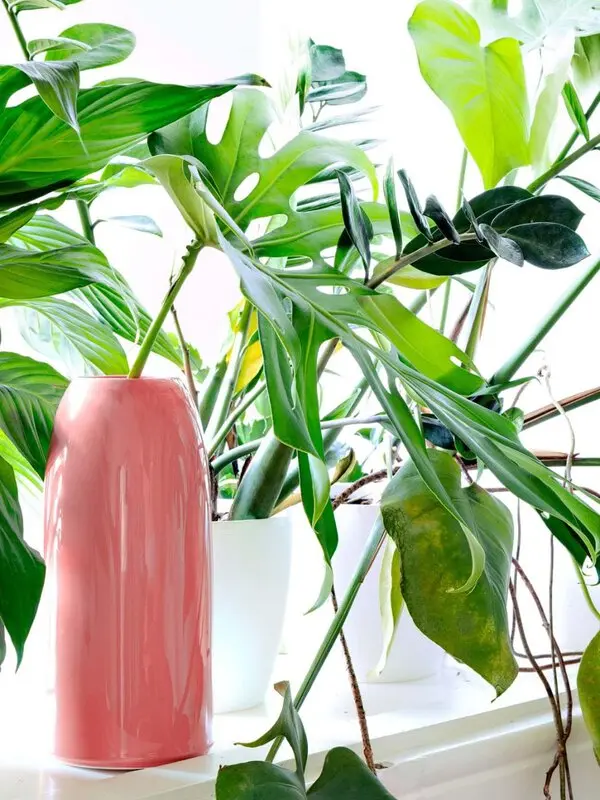 SCHÖNBUCH Medium Carla Ceramic Vase