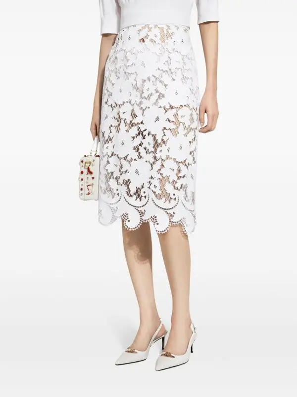 Dolce & Gabbana Floral-embroidered Open-work Skirt