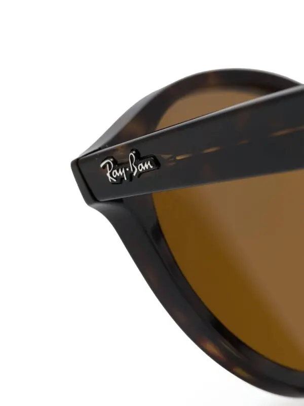 Ray-ban Oval-frame Sunglasses