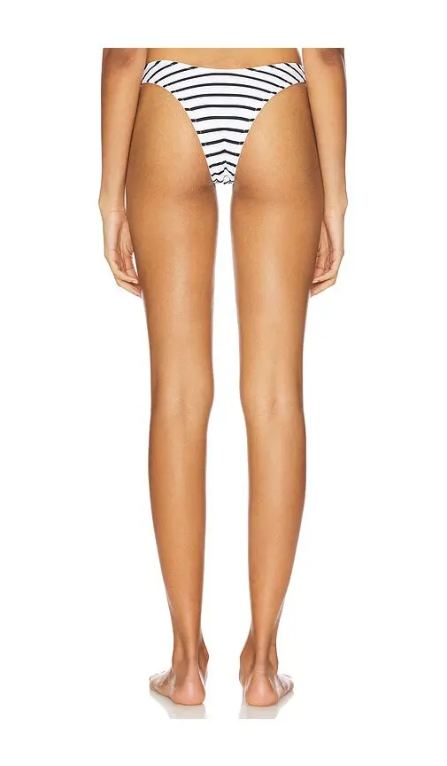 Lioness Zuma Bottom