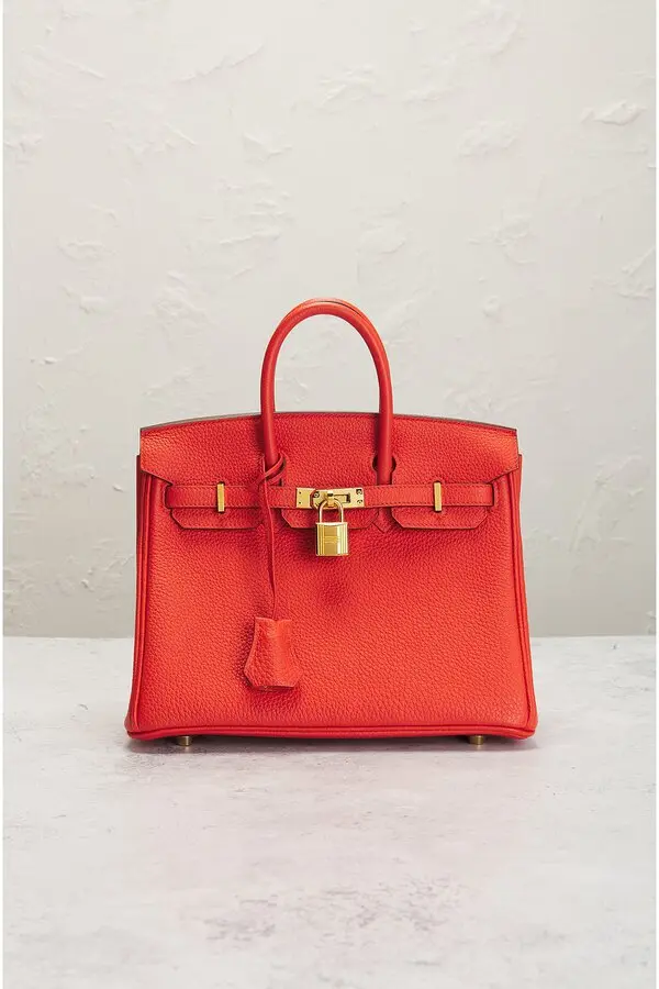 Hermès Birkin 25 Togo Handbag
