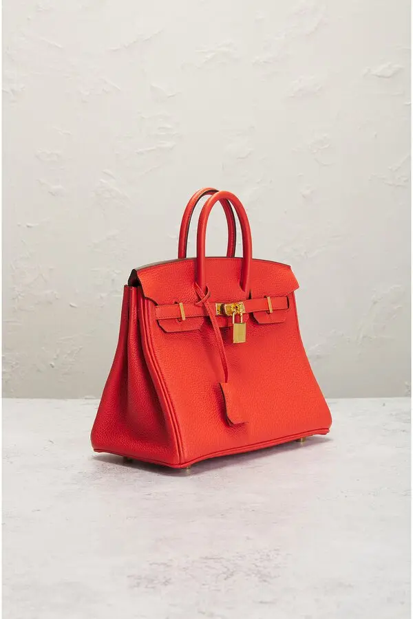 Hermès Birkin 25 Togo Handbag