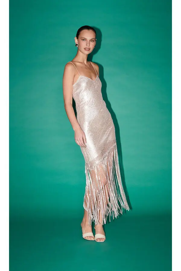 Saylor Lillie Sequin Fringe Midi Dress