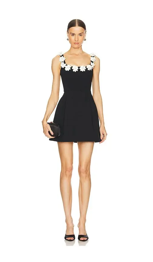 open lace back dress Nadine Merabi Cindy Black Dress 14