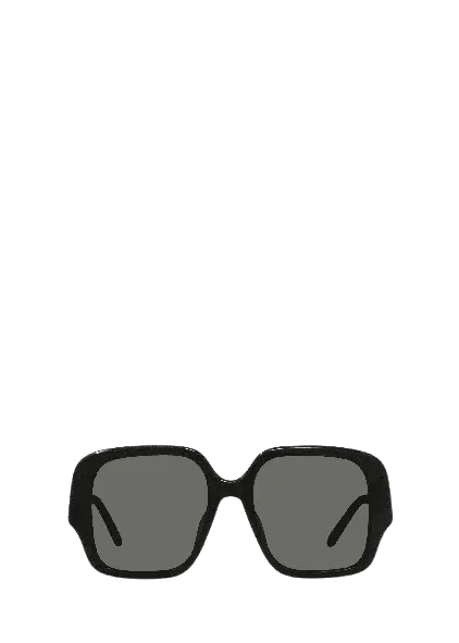 Loewe Oversized Square Sunglasses - Sblk/smk