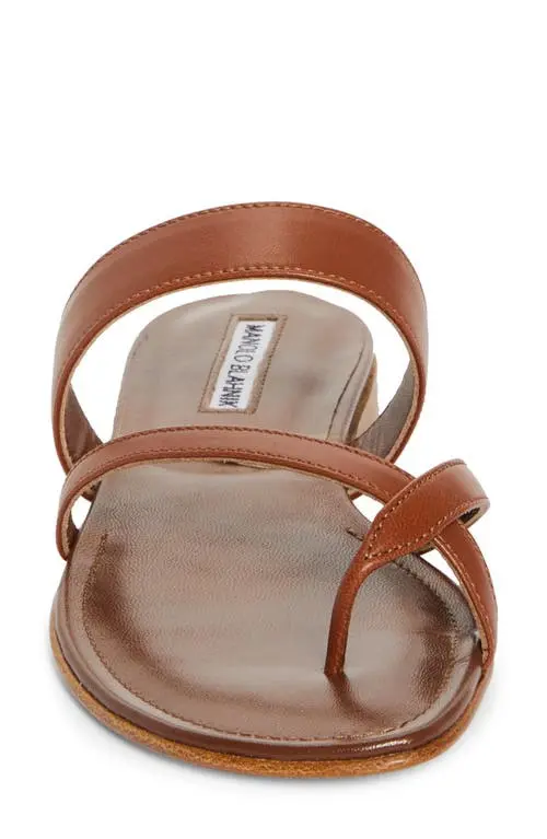 Manolo Blahnik Susa Sandal - Brown