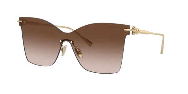 Tiffany & Co. Sunglasses - Brown Gradient