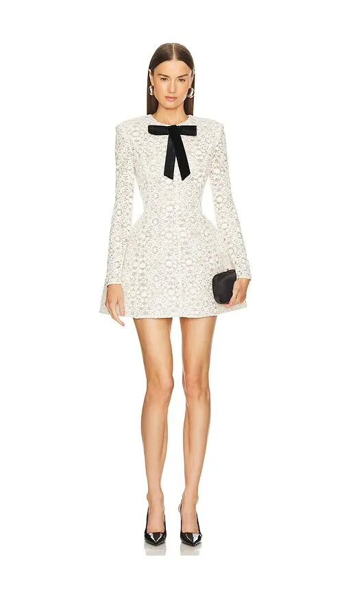 BRONX BANCO Courtney Mini Dress With Floral Mesh Fabric And Satin Tie Accent