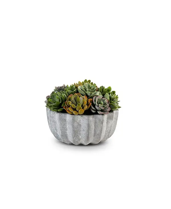 COCOBELLA Madison Pleated Ceramic Succulent Arrangement - Grey