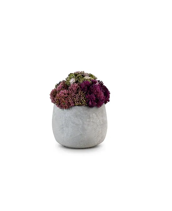 COCOBELLA Bailey Ceramic Sedum Arrangement - Grey