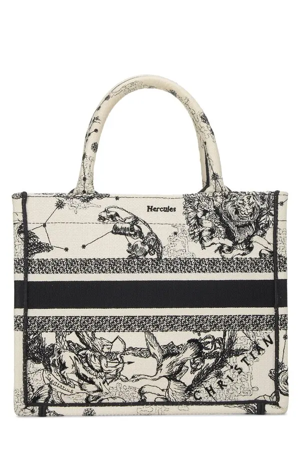 Dior Zodiac Embroidered Canvas Book Tote - Multi | Editorialist