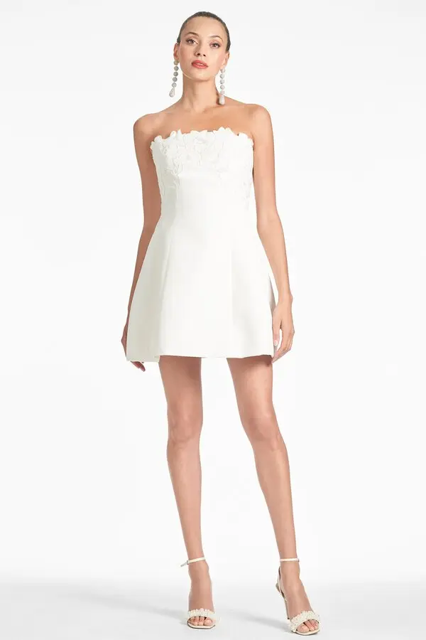 Sachin & Babi Alanna Embroidered Mini Dress