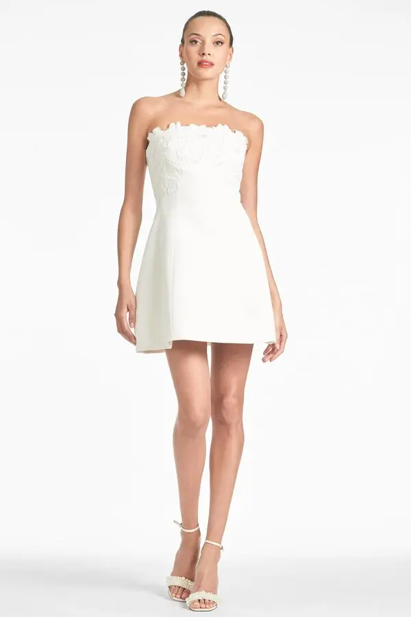 Sachin & Babi Alanna Embroidered Mini Dress