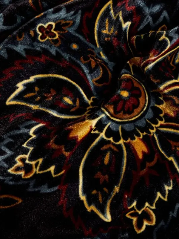 Etro Floral Print Velvet Dress