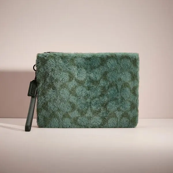 COACH Charter Pouch In Signature Shearling - Pistachio