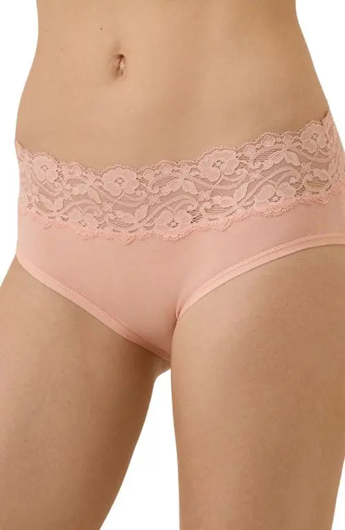 PACT Organic Cotton Lace Waist Brief 3-pack - Barely There