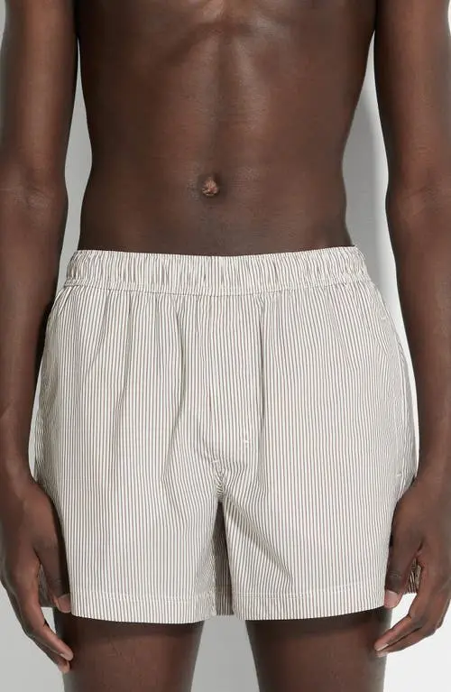 Zegna Pinstripe Swim Trunks - White Striped
