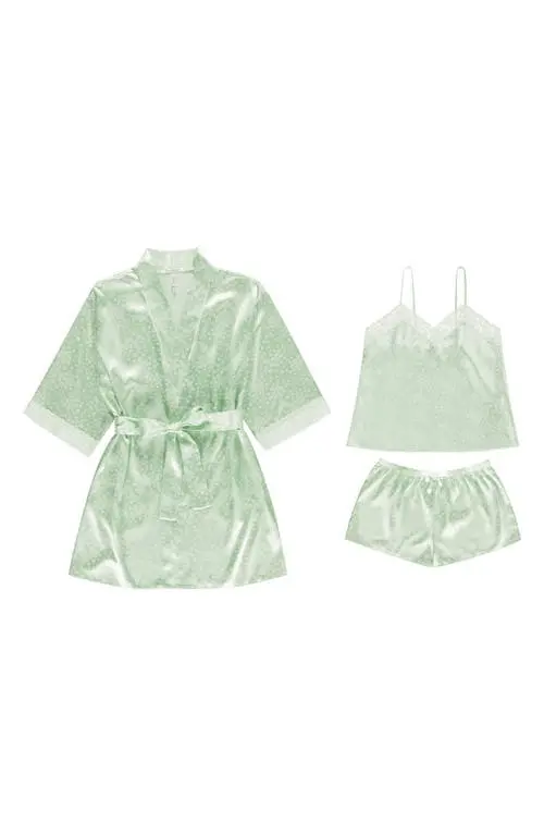 Flora Nikrooz Sabrina Travel Pajamas & Robe Set - Mint