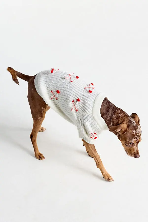 Anthropologie Seasonal 3d Motif Pet Sweater - Cupid's Bow