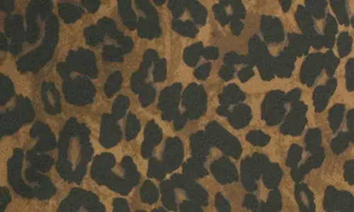 FAVORITE DAUGHTER The Josie Leopard Print Maxi Skirt