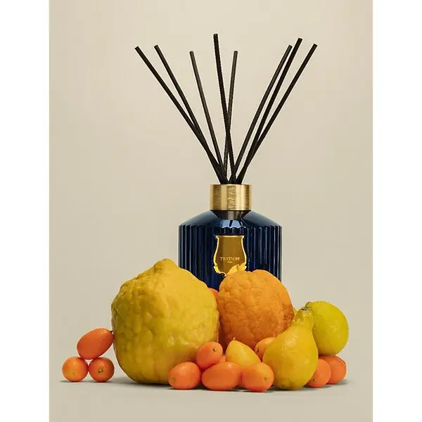TRUDON Belles Matières Reggio Diffuser 350ml