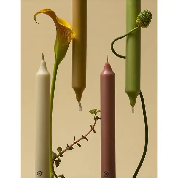 CARRIERE FRERES Taper Cedar-scented Set Of Six Wax Candles