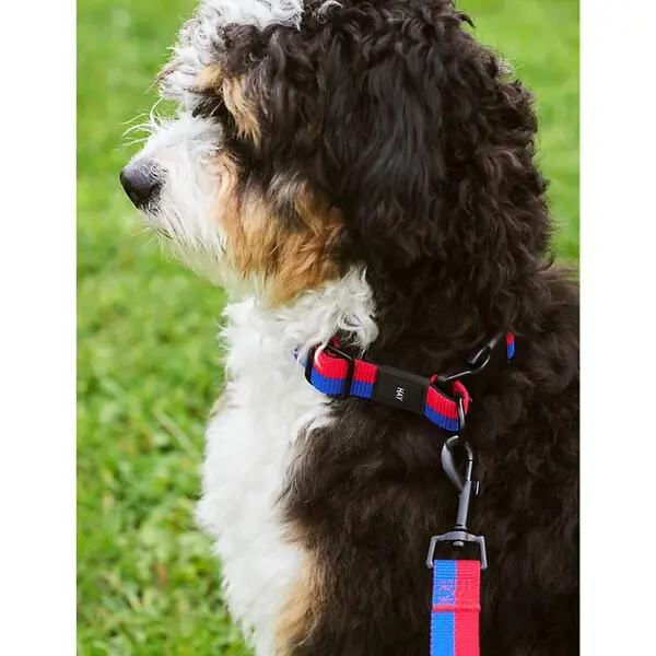 HAY Plaited Woven Dog Leash - Red And Blue