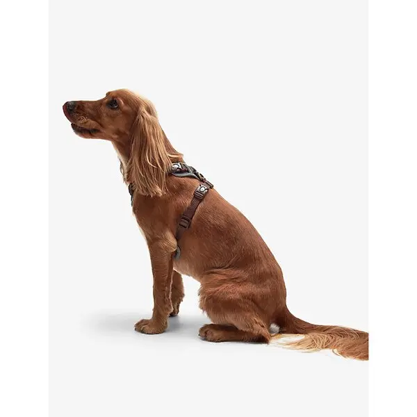 Barbour Tartan-pattern Woven Dog Harness