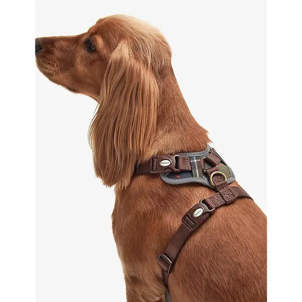 Barbour Tartan-pattern Woven Dog Harness