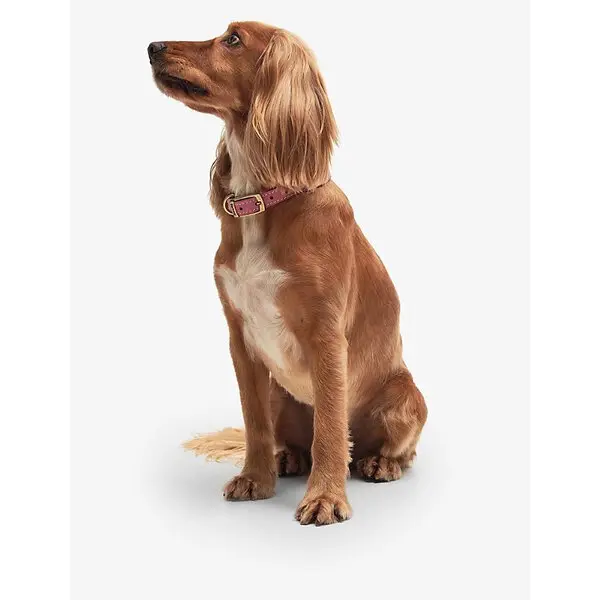 Barbour Branded-hardware Adjustable Leather Dog Collar