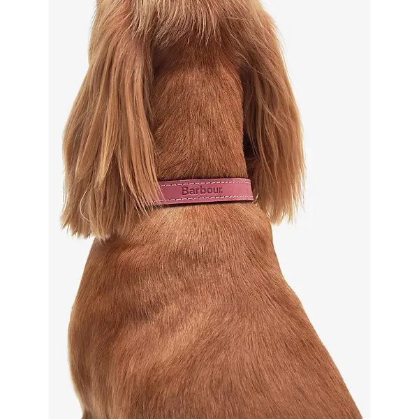 Barbour Branded-hardware Adjustable Leather Dog Collar
