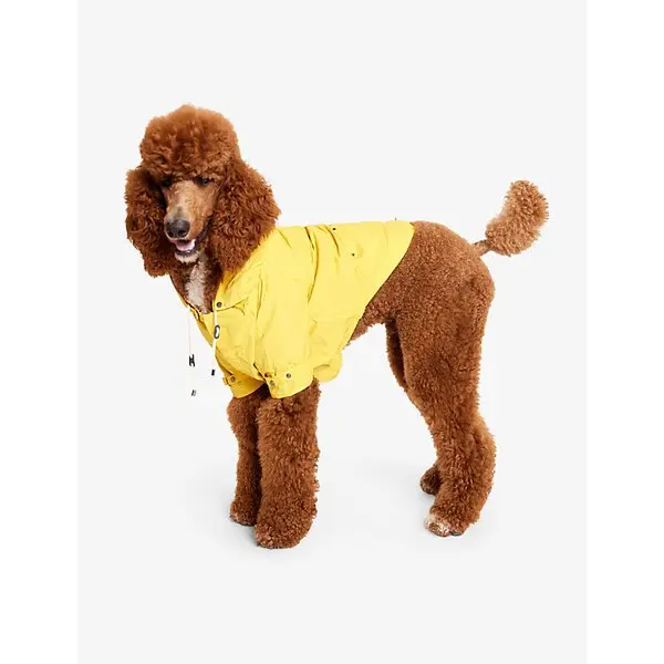 MAXBONE Talon Hooded Dog Jacket - Yellow